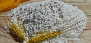 Pantry Beetles: Where They Come From & How to Get Rid of Them - Utopia