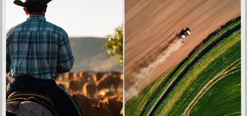 Ranch vs. Farm: Differences, Similarities and Importance - Utopia