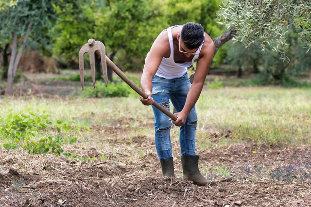 How to Amend Clay Soil Naturally: 6 Simple Methods - Utopia