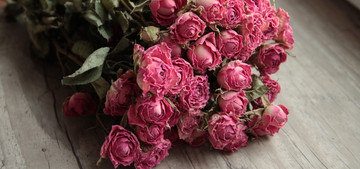 Never Throw Wilted Roses Out Again! How to Dry Roses 3 Ways - Utopia