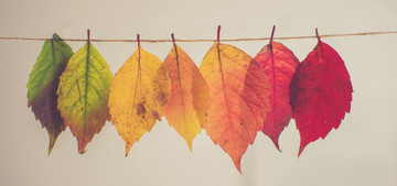 Cradle to Cradle: Meaning, Principles and Certifications - Utopia