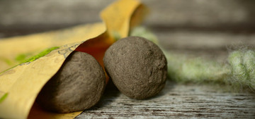 How to Get Rid of Moles in Your Yard & Keep Them Away - Utopia