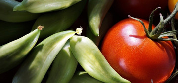 Caigua Plant Care: When And How To Plant Caigua Fruit - Utopia