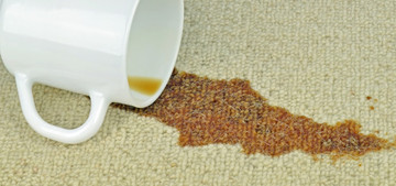 4 Quick Blueberry Stain Removal Methods - Utopia