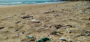 Plastiglomerate: Plastic Rocks Are a Horrible New Type of Pollution ...