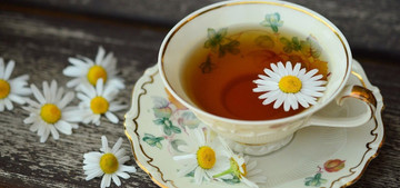 Wormwood Tea: Benefits, Dosage, and Brewing Method - Utopia