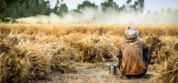 What Is Poaching? Its Impact and Difference from Hunting - Utopia