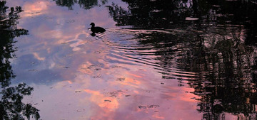 Is Skinny Dipping Illegal? What You Need to Know - Utopia