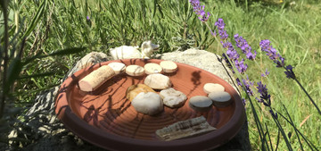 DIY Bee Waterer: How to Provide Water for Bees This Summer - Utopia