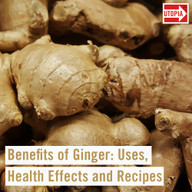 Benefits of Ginger: Uses, Health Effects and Recipes - Utopia