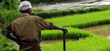 What Is Subsistence Farming? Definition & Interesting FAQs - Utopia